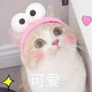 萤火虫小妹妹 