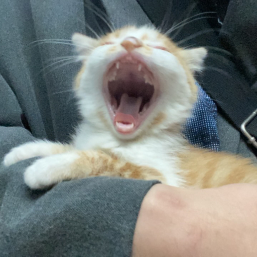 简暖啊 
