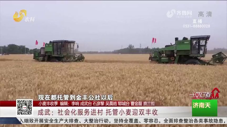 成武:实施农业托管模式,1万亩小麦迎丰收,每亩节本增收300多元