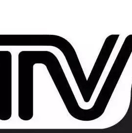 中华藏宝阁张鹏飞博士 