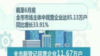 成视新闻 2020 上半年全市民营经济实现增加值4203.74亿元 主要指标...