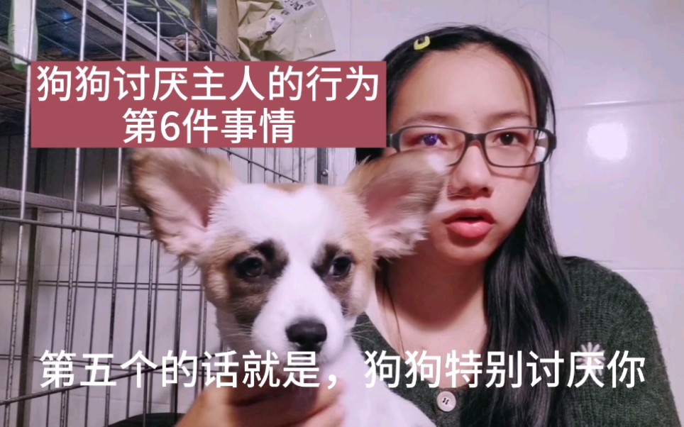 狗狗讨厌主人的第6件事情