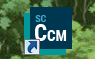 STAR-CCM+2021教程案例