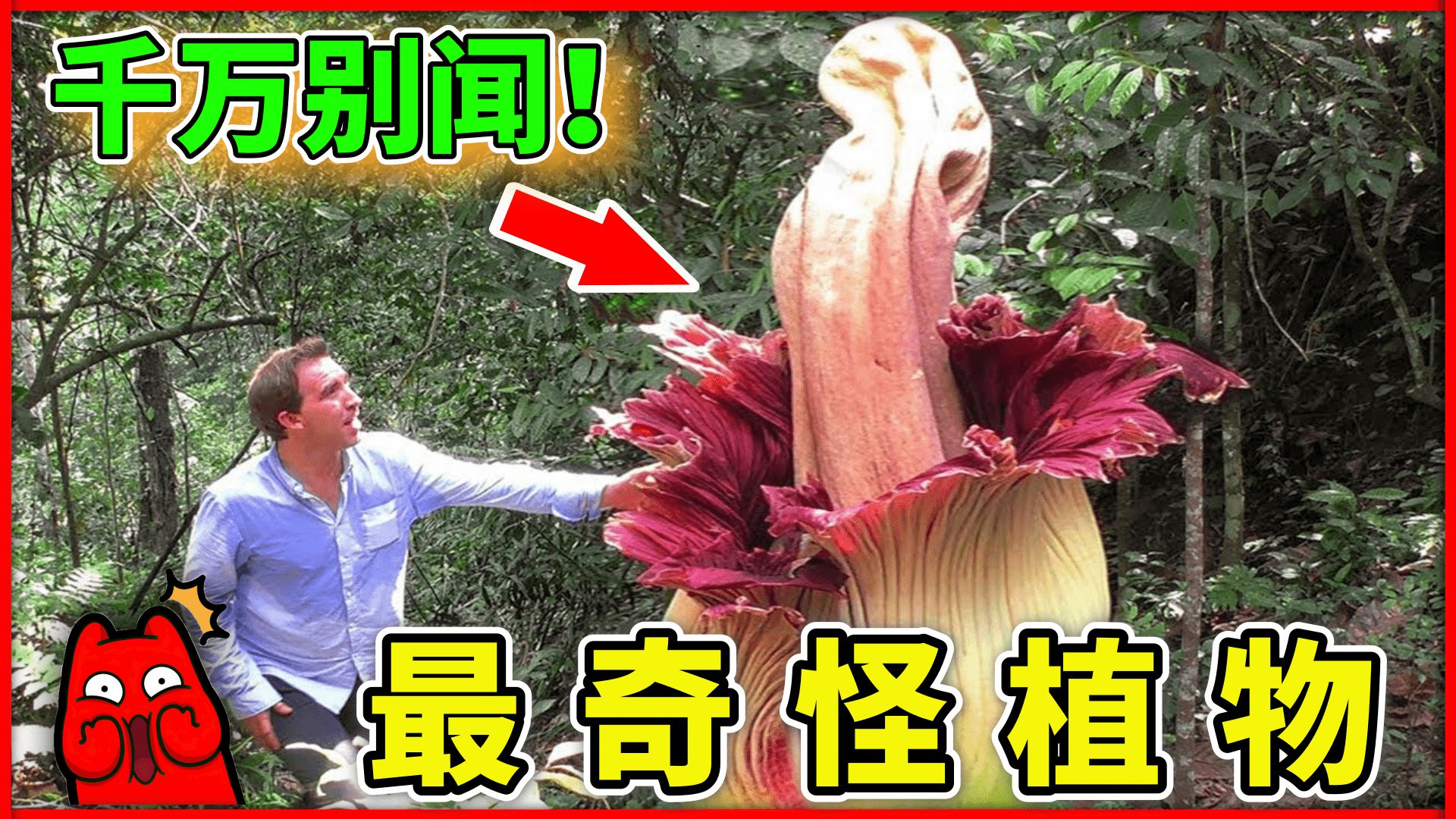 世界上最奇怪的15种植物,叶片宛如烈焰红唇,食人花真的存在?