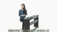 周铭孙钢琴讲座第七集 钢琴入门曲谱小兔子乖乖