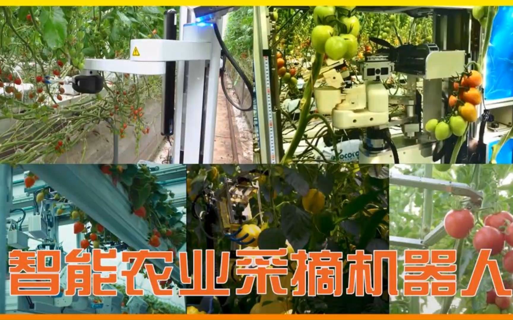 智能农业采摘机器人,能高效识别成熟果蔬,完全将人力解放