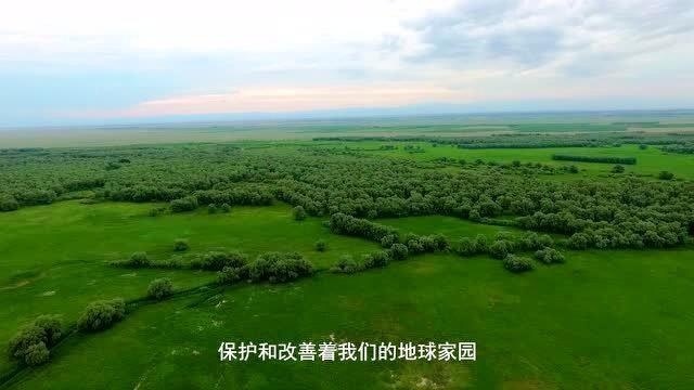 森林草原防火|不在野外用火还森林草原一分平安