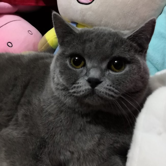 沐鱼游戏 