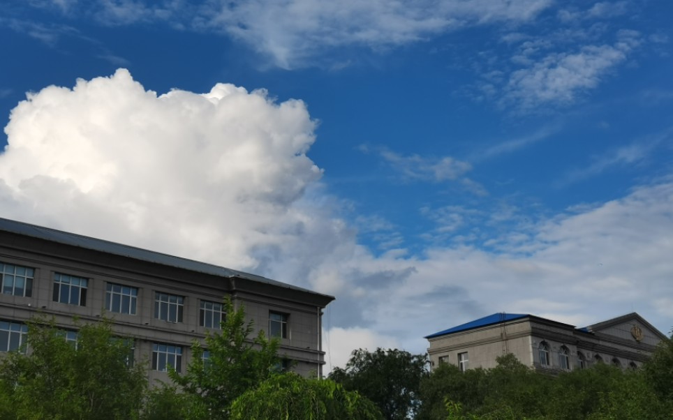 返家乡社会实践纪实