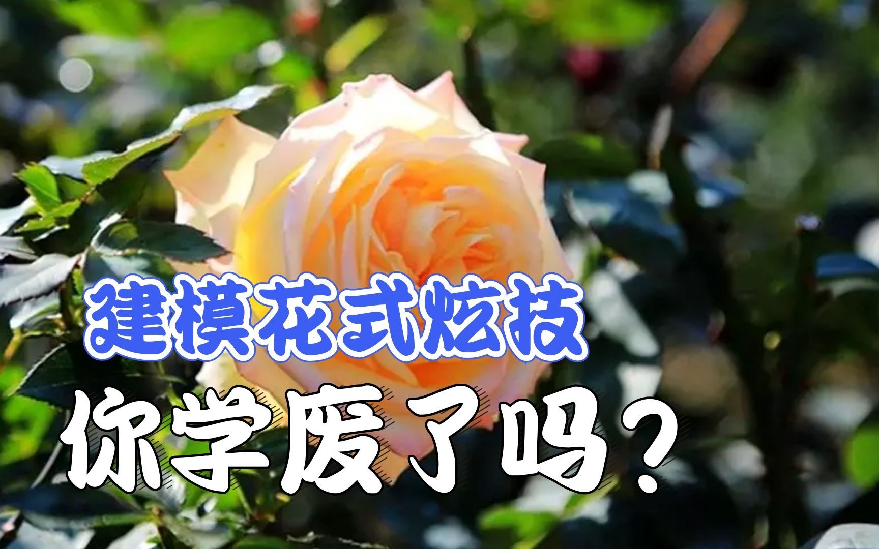 【3DMAX建模】超详细小白必备零基础课堂,一朵玫瑰花的制作过程,...