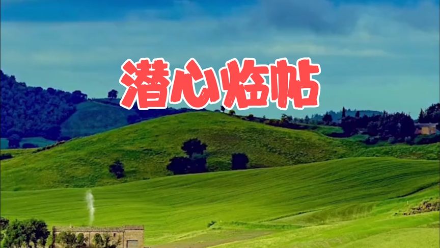#书法爱好者#潜心临帖#弘扬中华传统文化#练字修身养性#以字会友