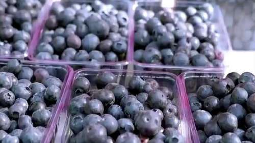 水果价格大跳水!蓝莓为何便宜到不敢信?
