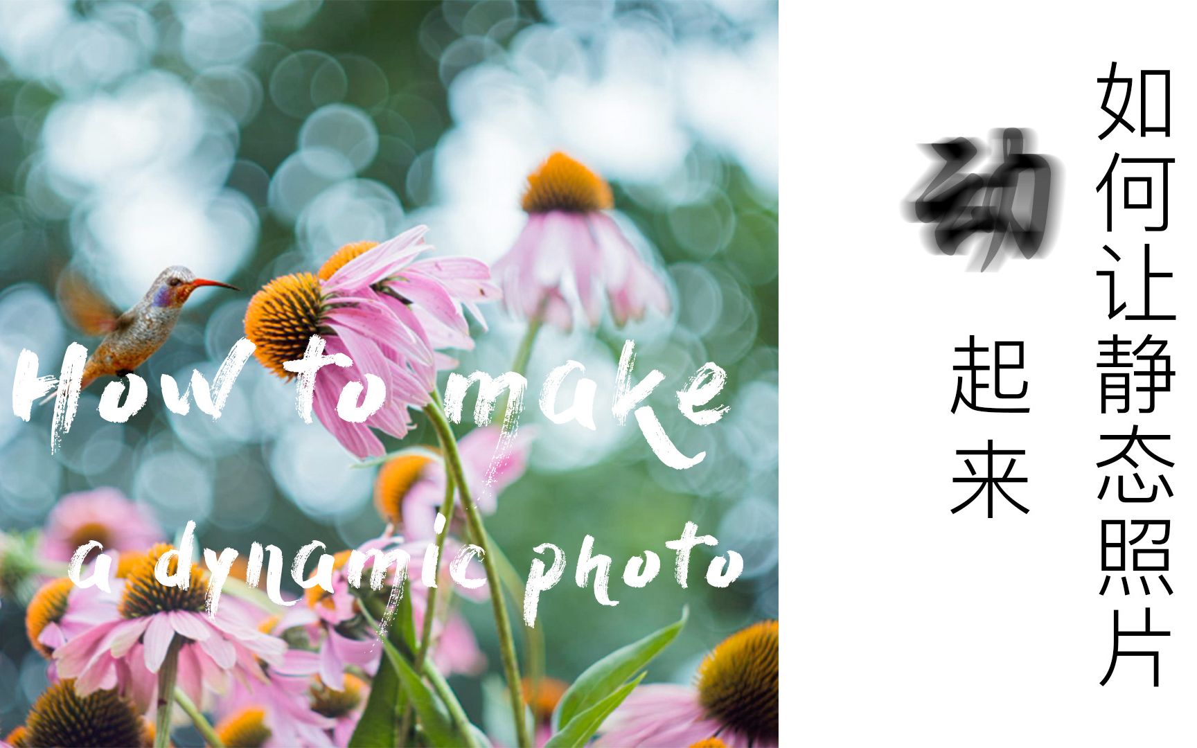 如何让静态照片动起来