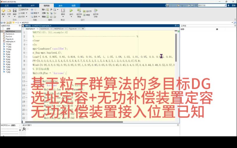 基于粒子群算法的多目标DG选址定容、无功补偿装置容量配置程序