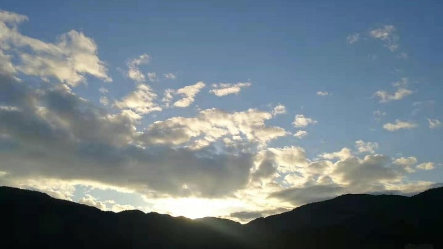 分公司未经公司股东会或董事会决议以自己的名义对外提供担保无效