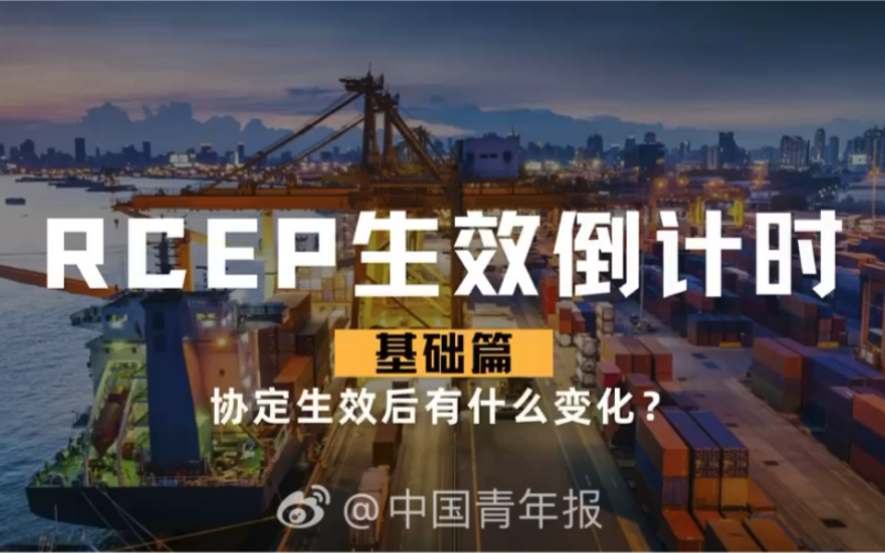 RCEP成员国表示将推动协定于明年1月1日生效!