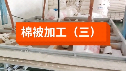 新疆优质长绒棉花被