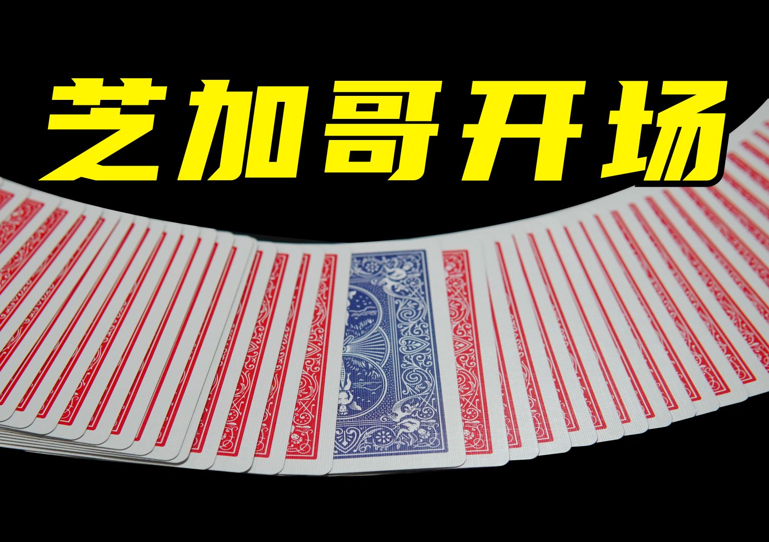 新手必学的专业级纸牌魔术!学会都女朋友玩!