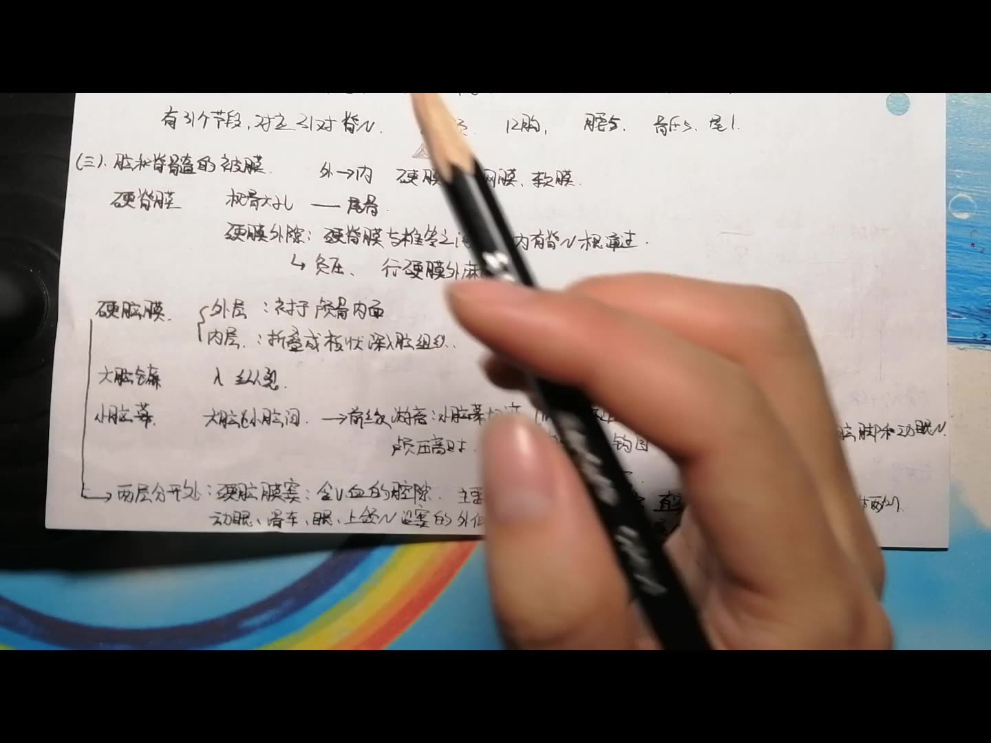 放射医学技术职称考试分享-中枢神经系统-被膜`血管`脑脊液