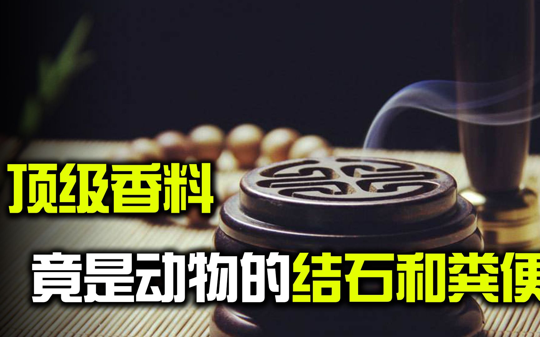 动物的结石和粪便,价值居然比黄金还贵?盘点世界稀有动物分泌物