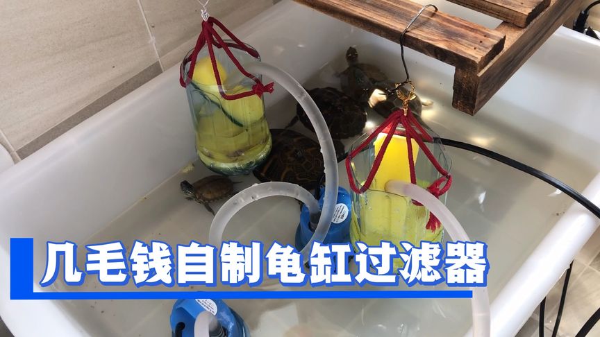 只需几毛钱,自己动手做一个效果非常好的龟缸过滤器