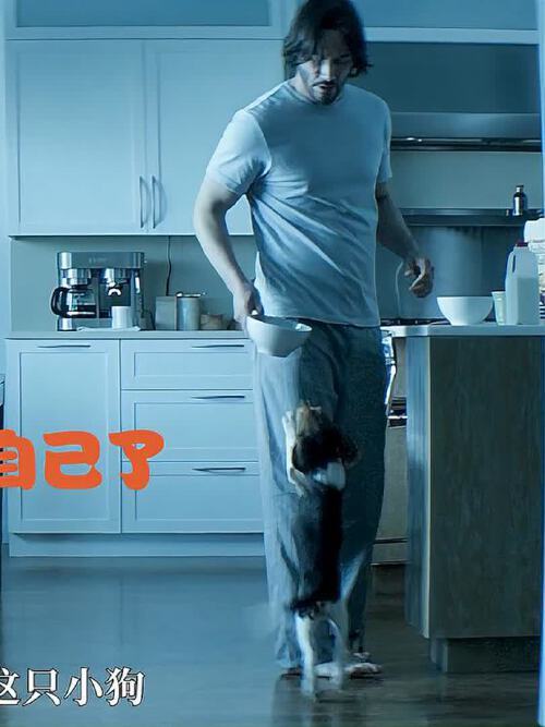 当你杀他狗时,你的命就不属于你自己的了