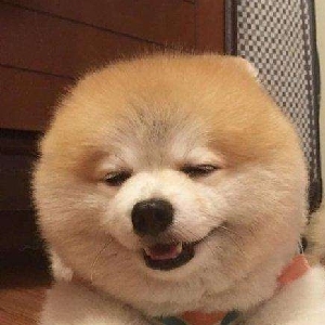 吴彦祖数学 