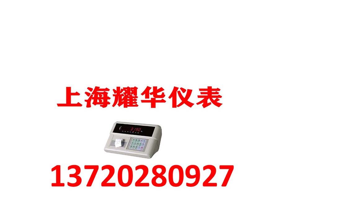 xk3190-a9+说明书标定---上海耀华仪表分度值设置(上海耀华称重系统...