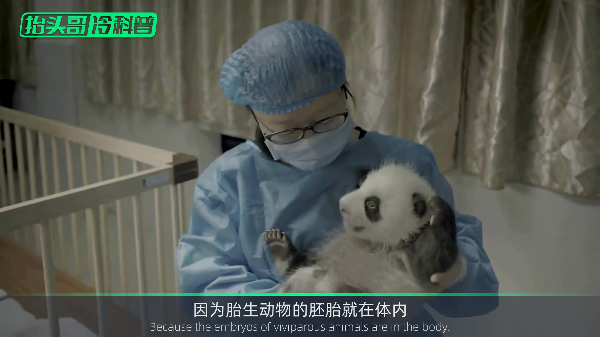 地球上包括人类在内,为何哺乳动物生殖系统跟排泄系统靠那么近?