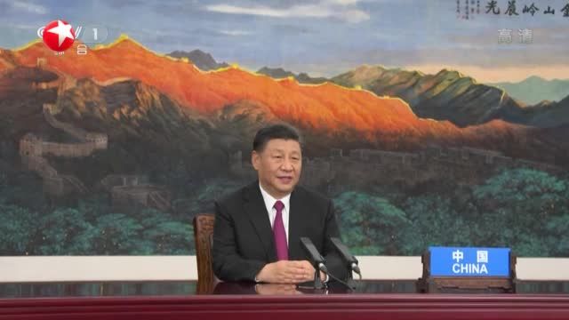 习近平出席亚太经合组织领导人非正式会议并发表讲话