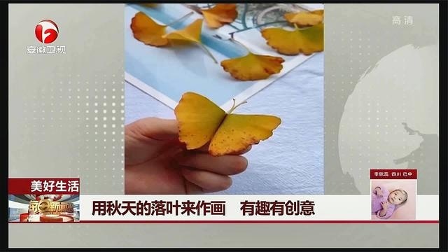 用秋天的落叶来作画 有趣有创意
