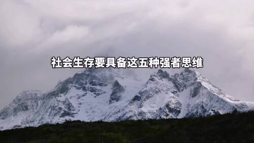 在社会生存,聪明人都有这五种思维