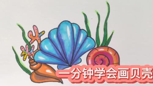 海底世界又怎么少得了美丽的贝壳呢一分钟学会画贝壳和小朋友画起来吧