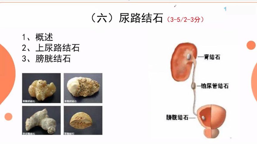 轻松拿下执医考试资格证