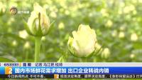 云南:国内市场鲜花需求增加 出口企业转战内销|都市条形码0707