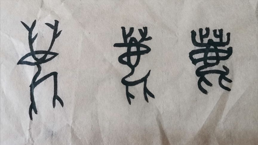 汉字故事 ”鹿“字的字源演变+石鼓文示范