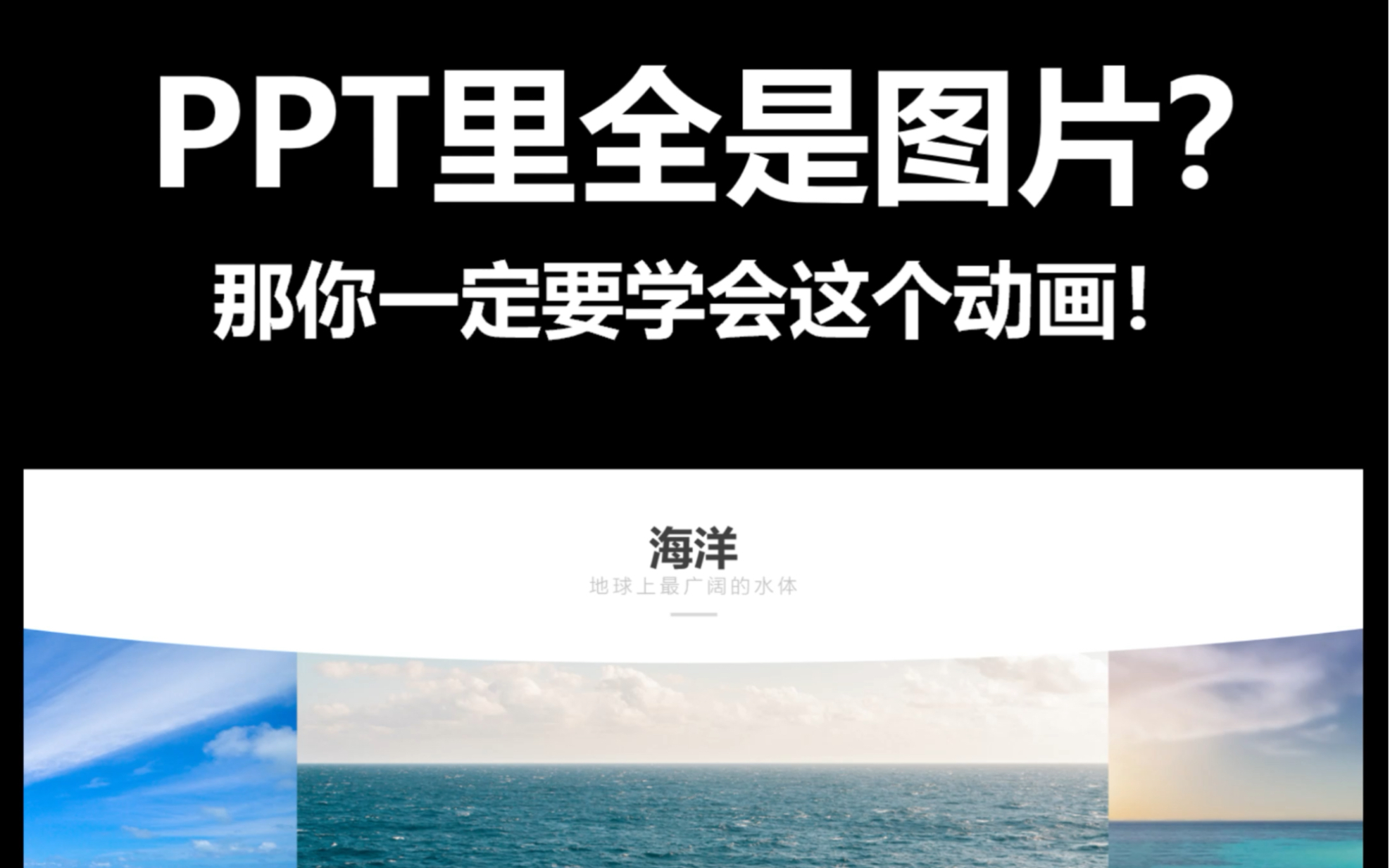 学会这个PPT图片动画,再也不怕图片多了