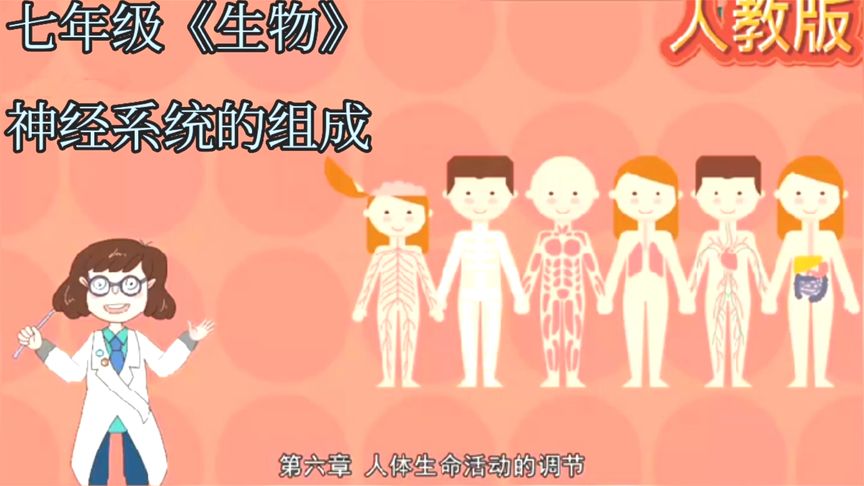 七年级《生物》:神经系统的组成。小初全动画课,让学习轻松有趣