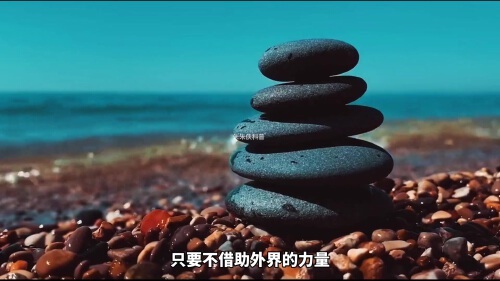 你见过会自己移动的石头吗?