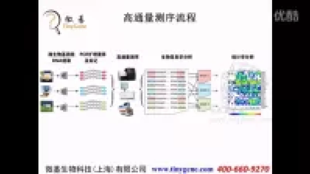 基于16SRNA的高通量测序分析