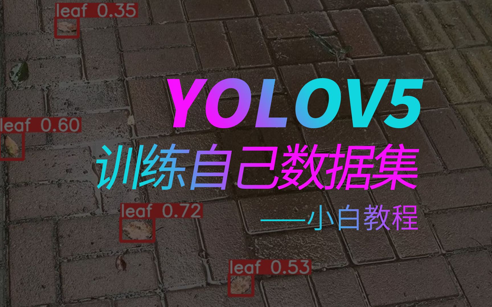 [yolov5小白训练教程]0基础教学,训练自己的数据集,详细教学