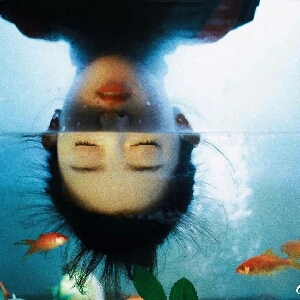 我很温柔暴揍你头 