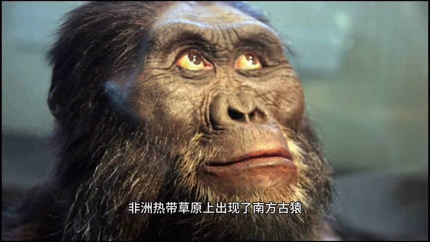 人类社会的“前世今生”