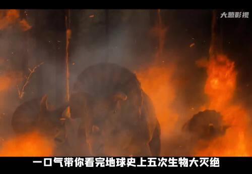 一口气看完地球五次生物大灭绝