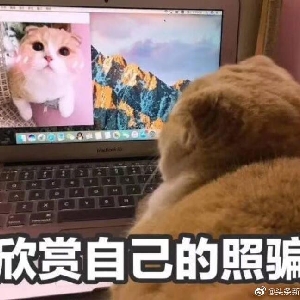 小兔子涂涂0417 