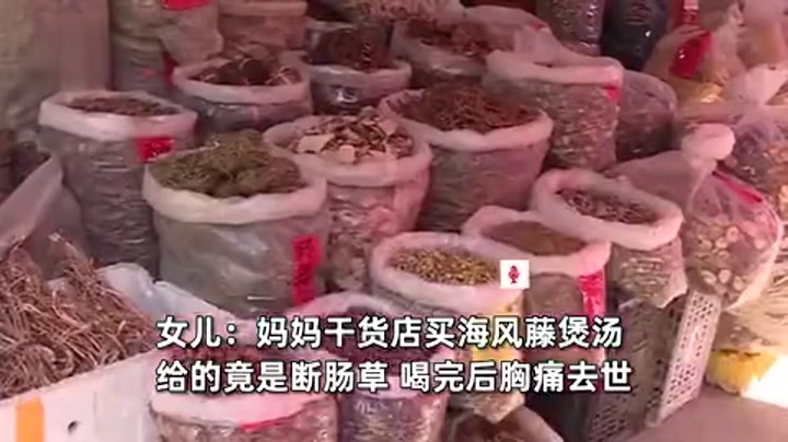 店主误把断肠草当海风藤售卖,老人饮用后中毒去世,8女儿崩溃唱"世上...