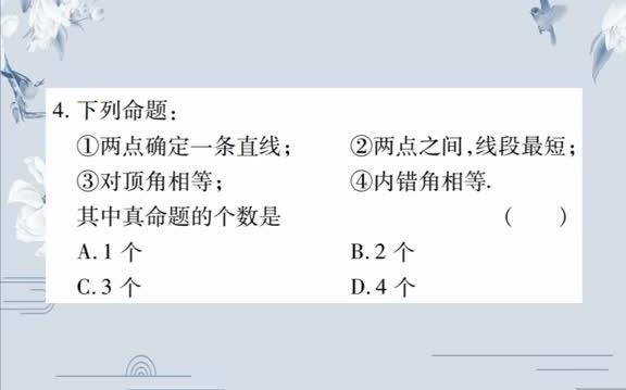 北师大版八年级上册数学期末模拟试题