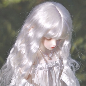 要来一只猫猫吗owo 