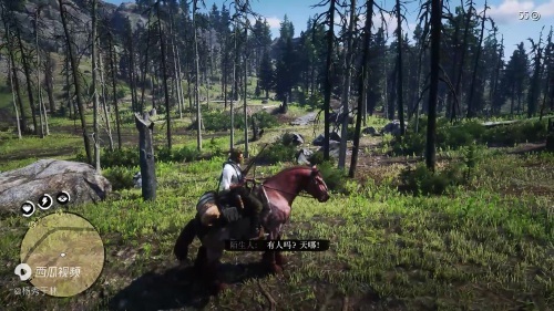 《荒野大镖客2》惊险一幕!恶狼叉角羚牧场附近伤人!