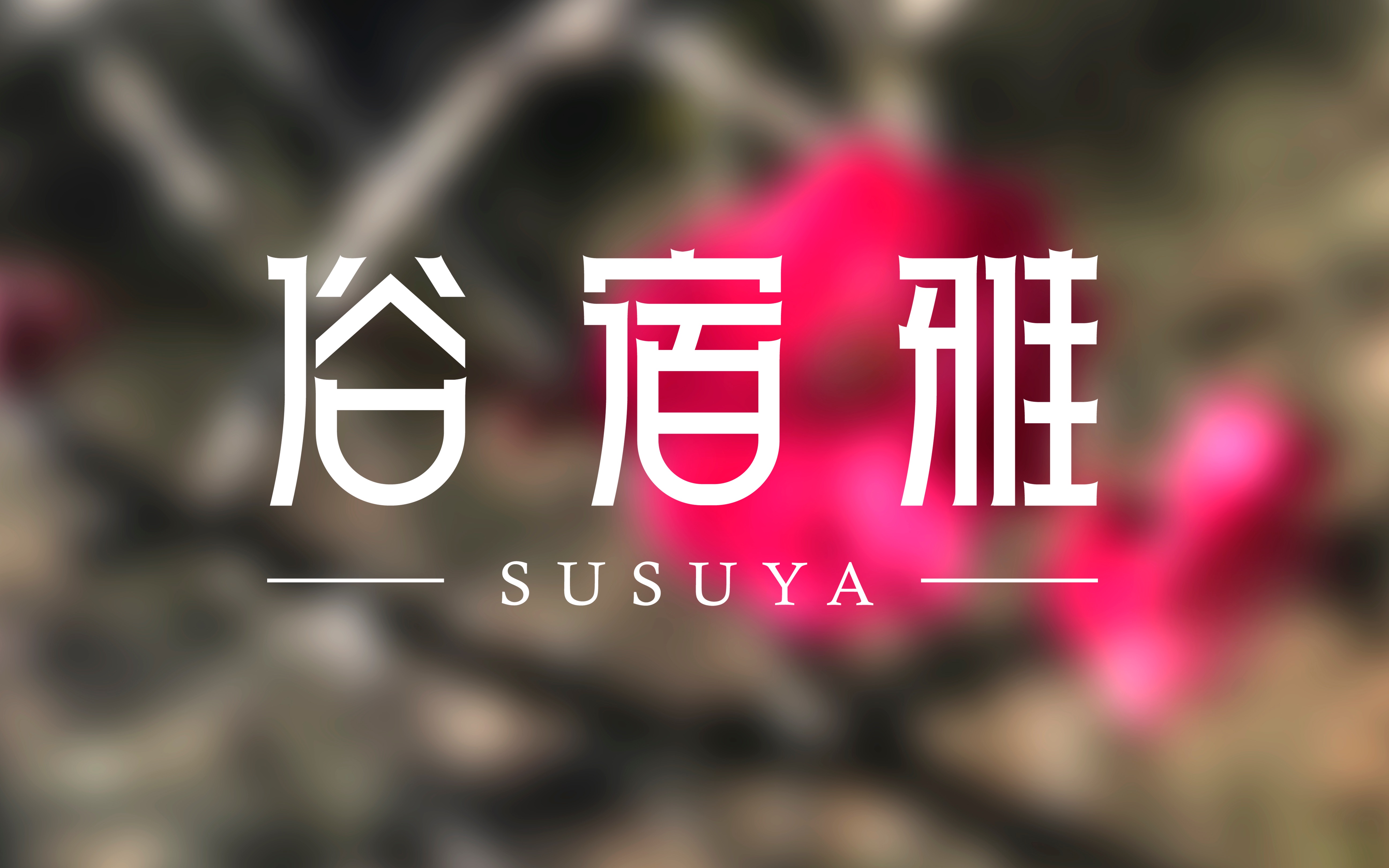 阔识网平面设计视频教程,AI/PS教程,俗宿雅设计思路与风格确定